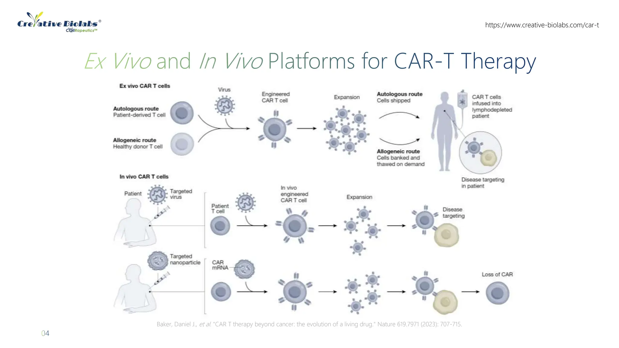 Advances in CAR-T Cell Therapy - Creative Biolabs | PPTX