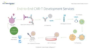 Advances in CAR-T Cell Therapy - Creative Biolabs | PPTX