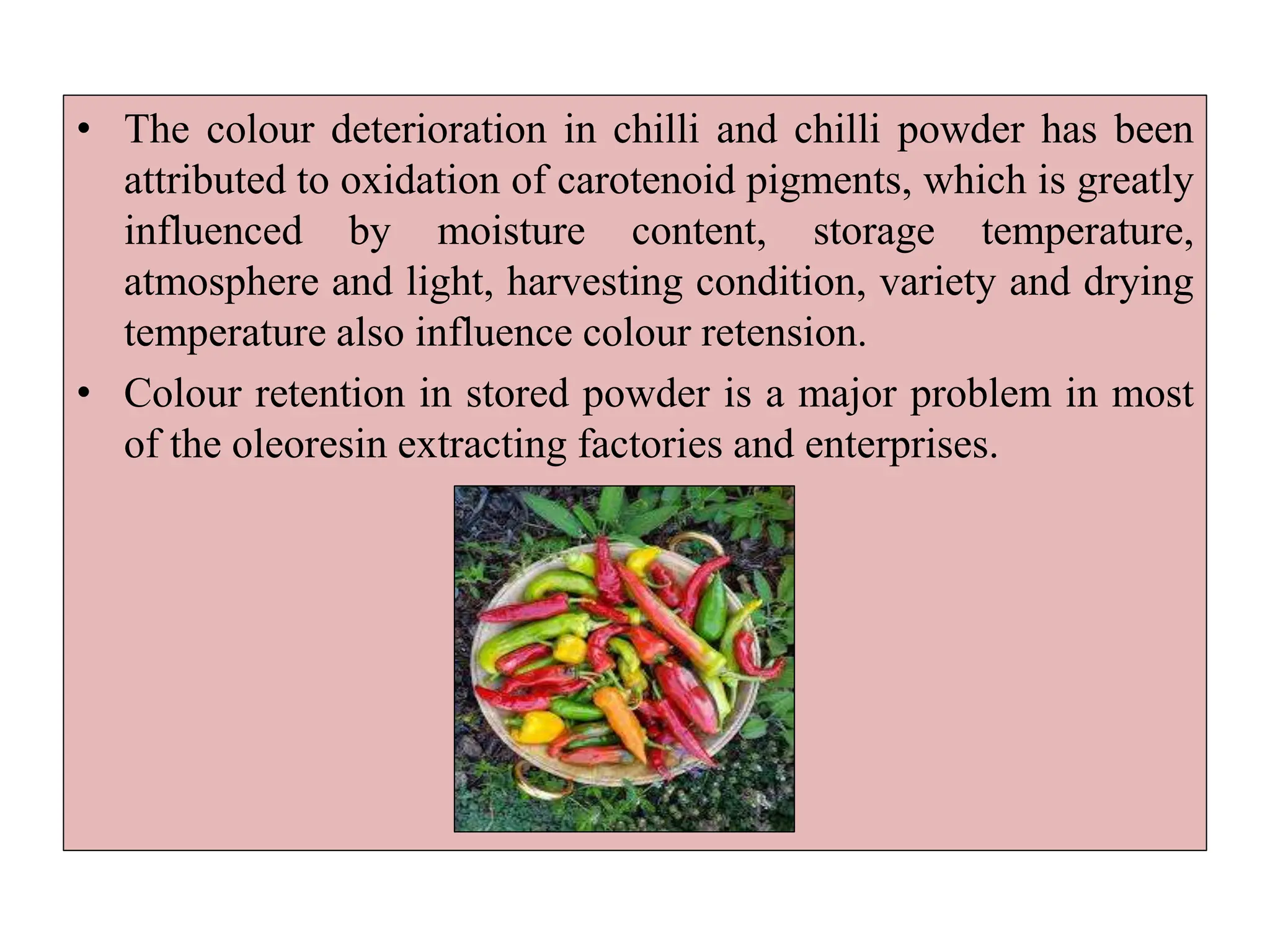 advances in chilli.pptx
