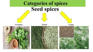 Advances in crop production and improvement of spice crops | PPTX