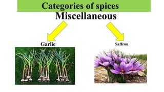Advances in crop production and improvement of spice crops | PPTX