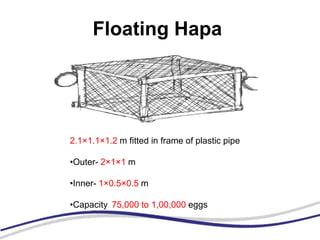Advances in design and construction of freshwater hatcheries | PPT