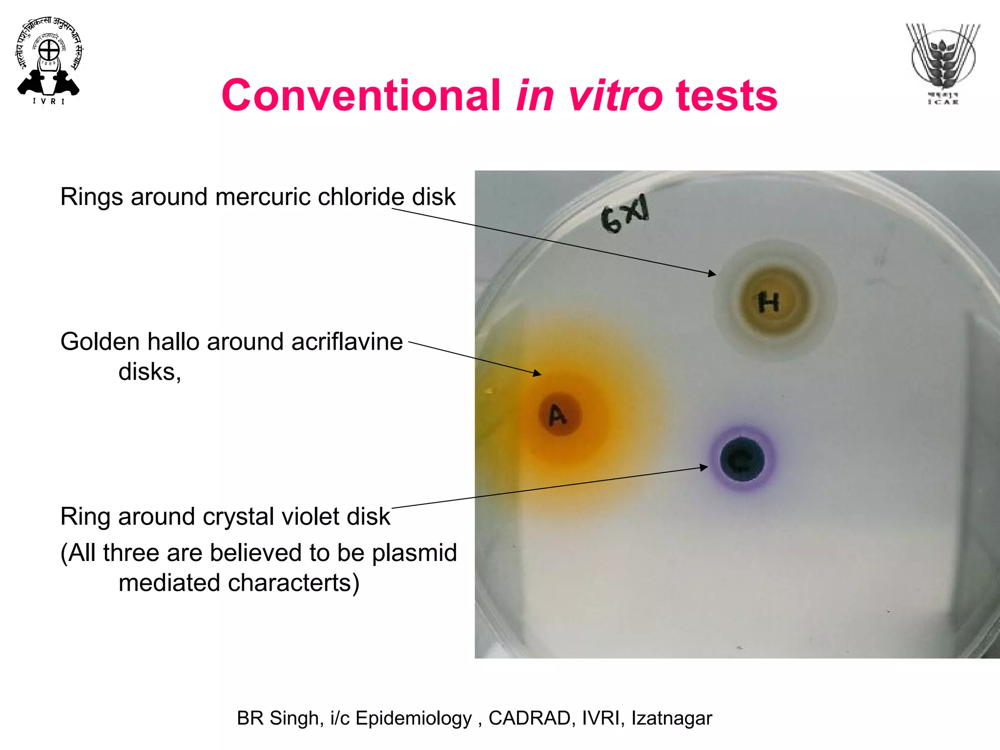 Advances in diagnosis of salmonellosis and characterization of ...