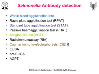 Advances in diagnosis of salmonellosis and characterization of ...