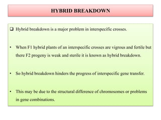Advances in distant hybridization of vegetable crop imrovement | PPTX