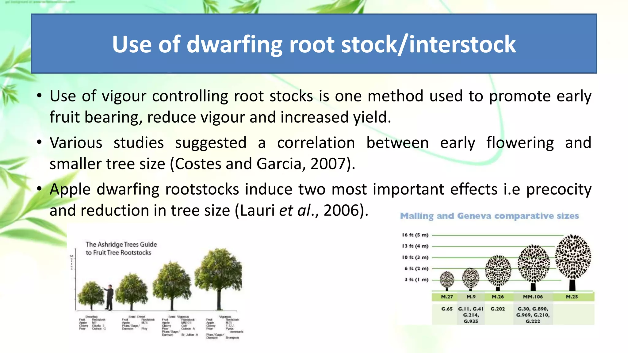 Advances in dwarfism of fruit plants | PPTX