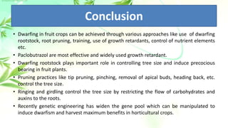 Advances in dwarfism of fruit plants | PPTX