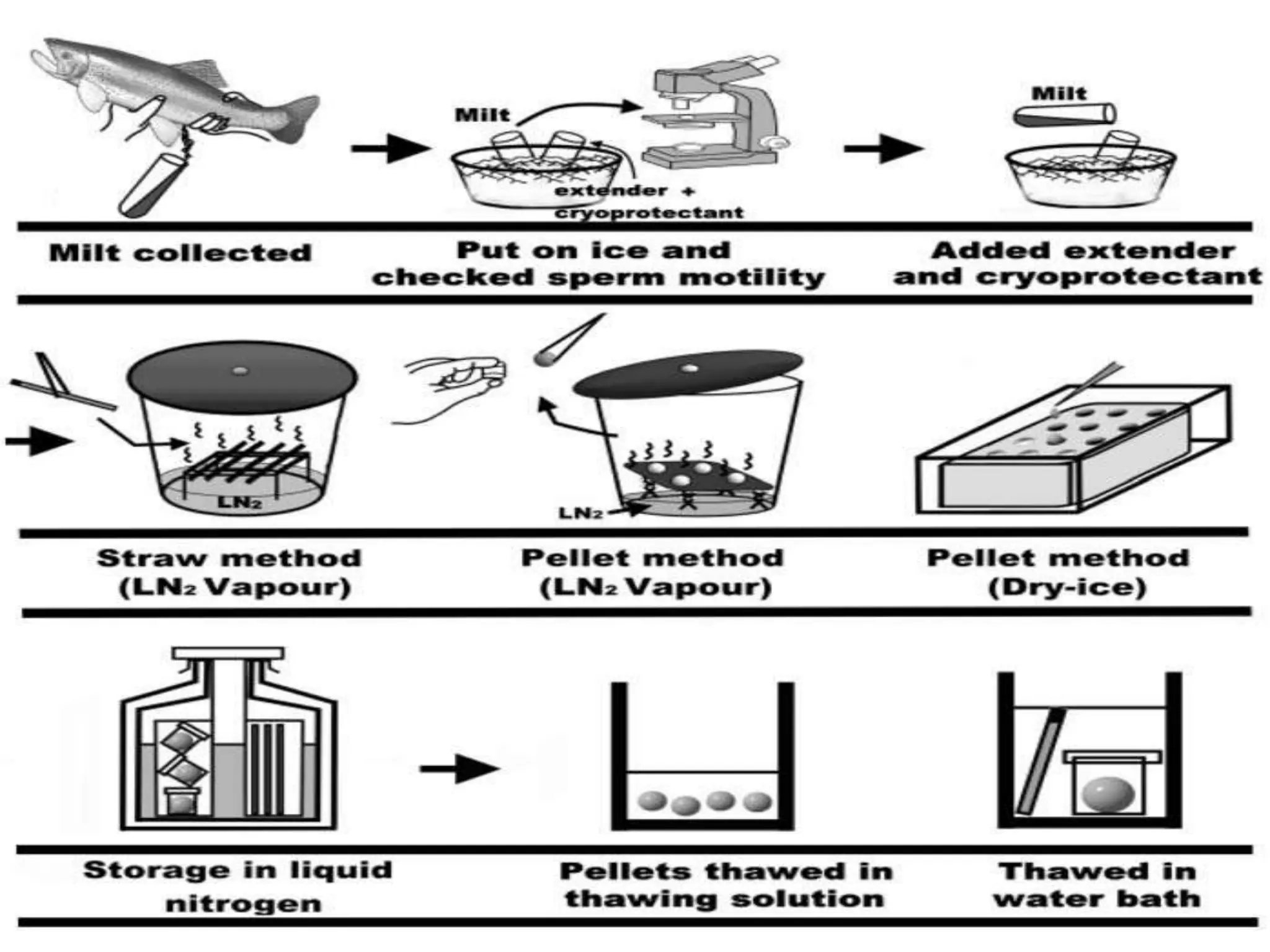 Advances in fishery science | PPT