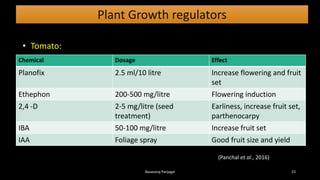 Advances in flower regulation and fruiting management of vegetables in ...