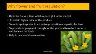 Advances in flower regulation and fruiting management of vegetables in ...