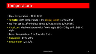 Advances in flower regulation and fruiting management of vegetables in ...