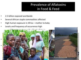 Advances in integrated management of aflatoxins in africa | PDF