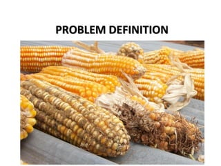 Advances in integrated management of aflatoxins in africa | PDF