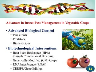 Advances in Integrated Nutrient and Insect-pest Management in Vegetable ...