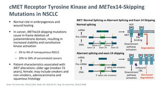 Advances in Lung Cancer Diagnosis.pptx