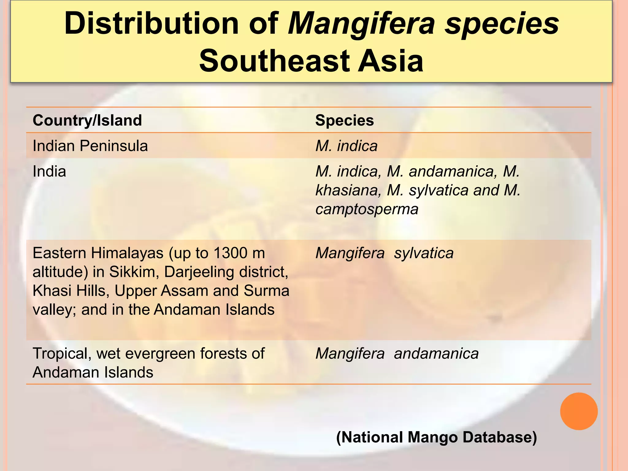 ADVANCES IN MANGO CROP IMPROVEMENT.pptx