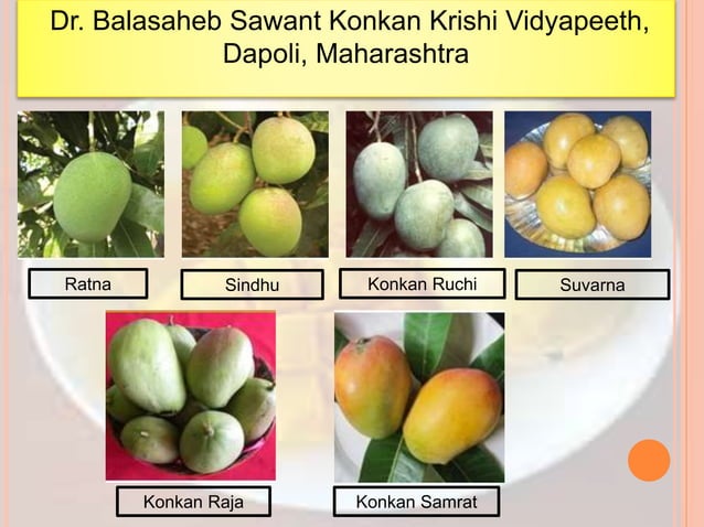 ADVANCES IN MANGO CROP IMPROVEMENT.pptx | Gardening | Home & Garden