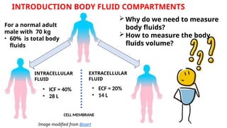 Advances in measurement of body fluids volume.pptx