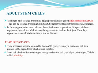 Stem cell | PPTX