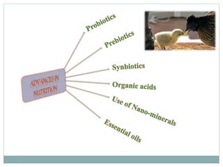 Presentation for first doctoral seminar on Advances in poultry ...