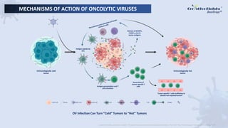 Advances in Oncolytic Virotherapy - Creative Biolabs | PPT