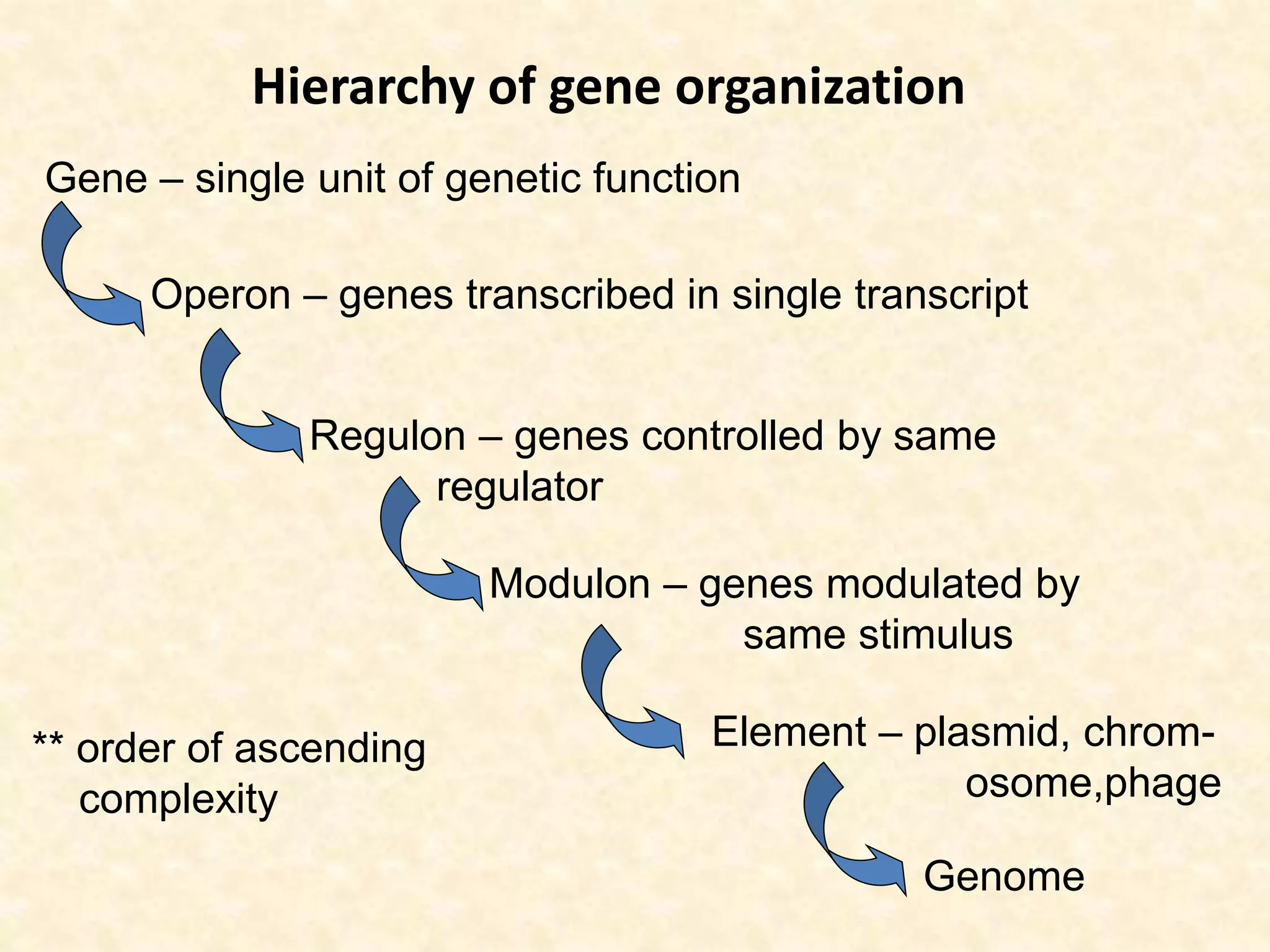 Genomics: Organization of Genome, Strategies of Genome Sequencing ...
