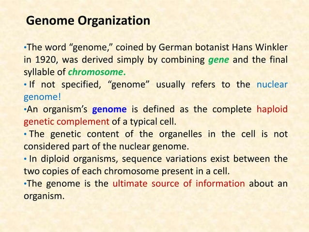 Genomics: Organization of Genome, Strategies of Genome Sequencing ...