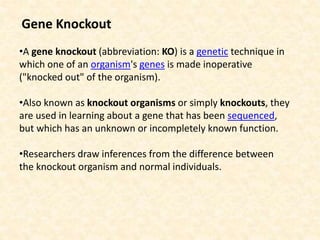 Genomics: Organization of Genome, Strategies of Genome Sequencing ...