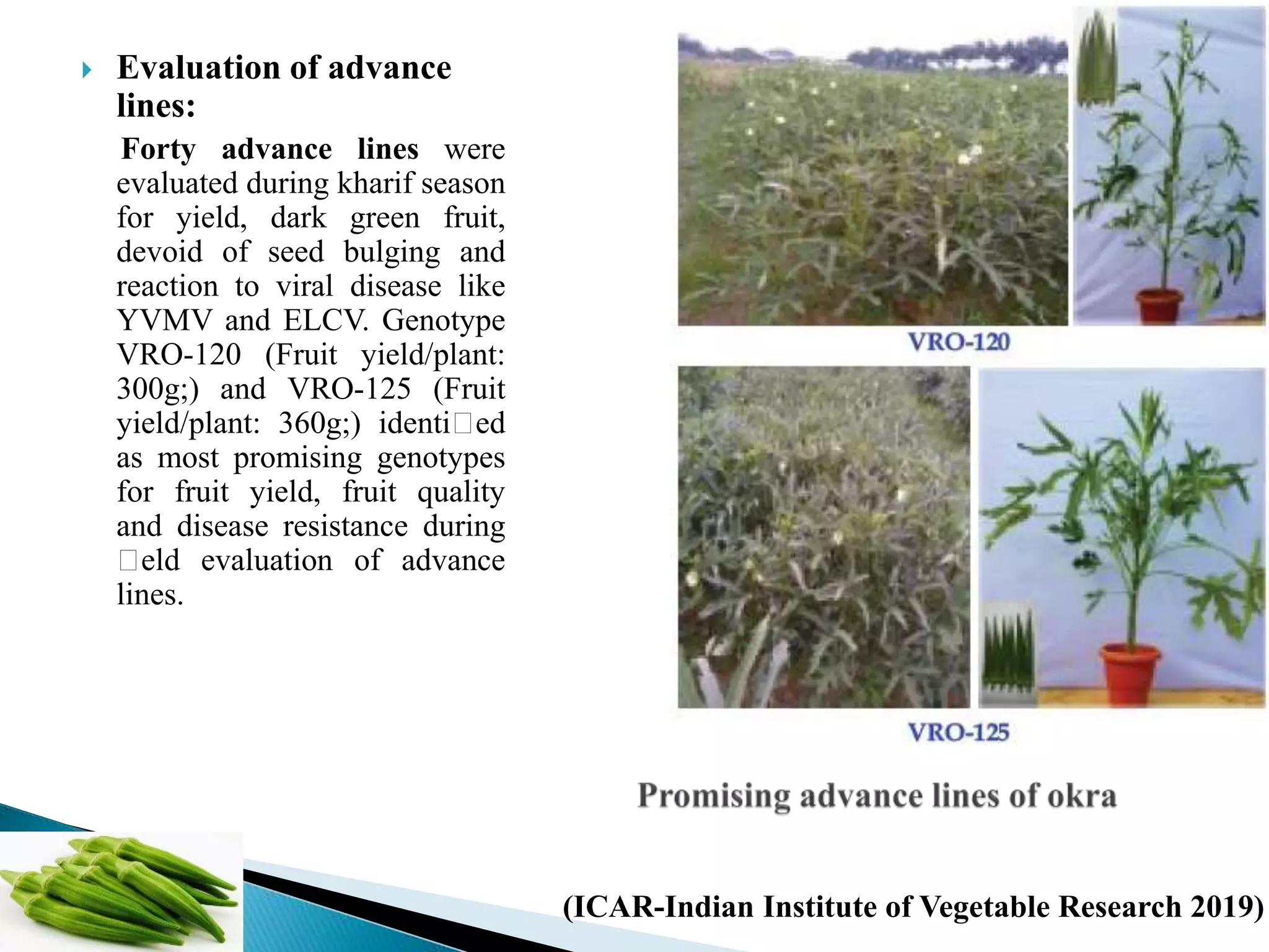 Advances in plant breeding | PPTX
