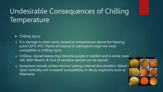 Advances in processing and preservation of food in refrigeration.pptx