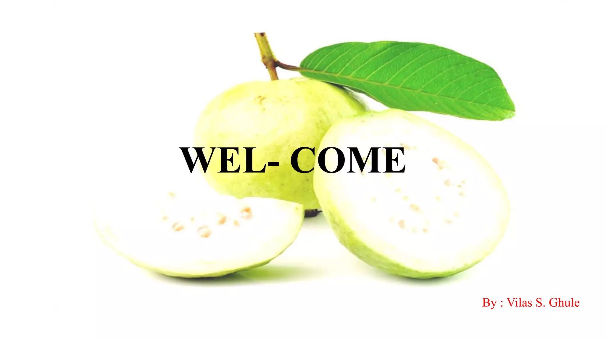 Advances in production of guava | PPTX