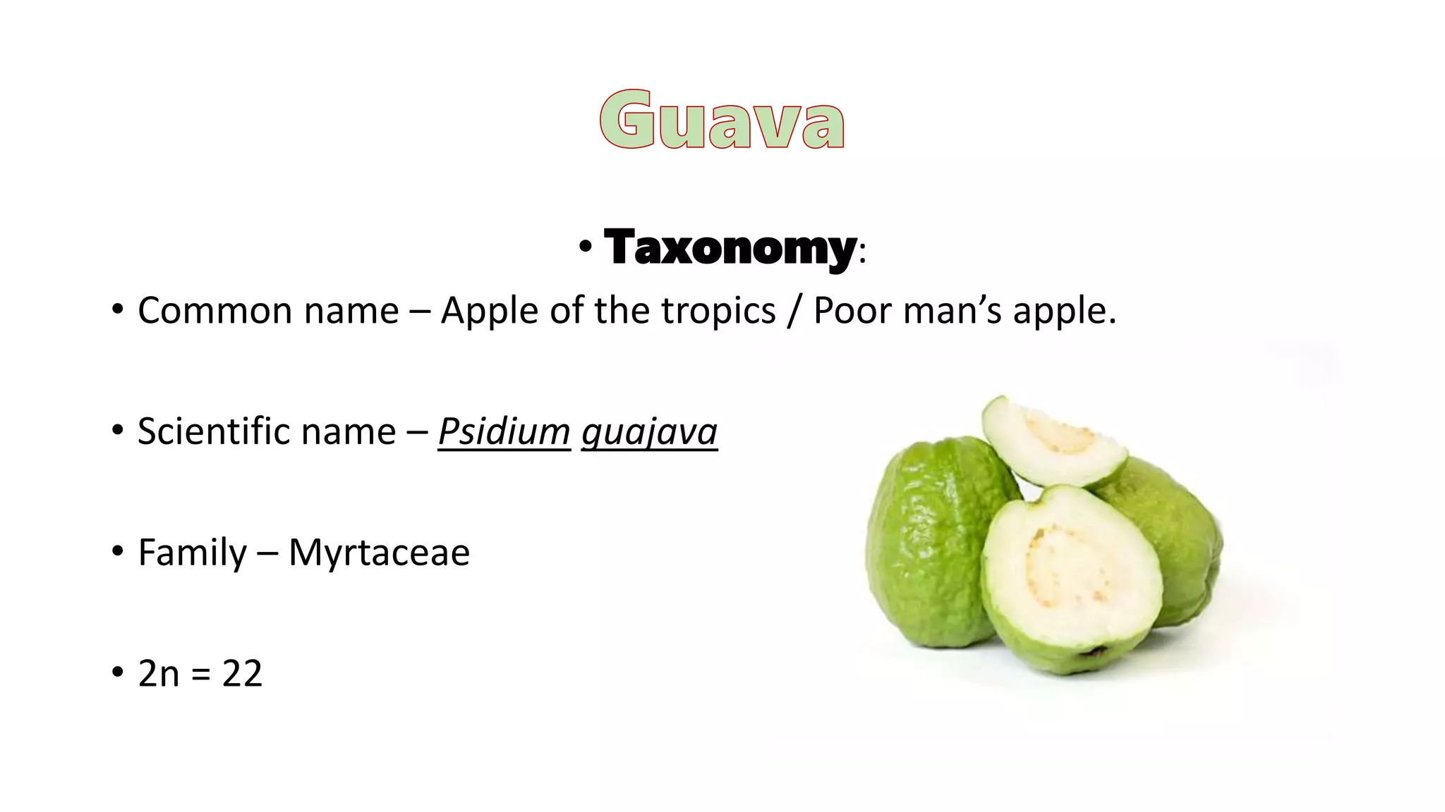 Advances in production of guava | PPTX