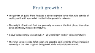 Advances in production of guava | PPTX