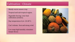Advances in production technology of cucurbits | PPTX