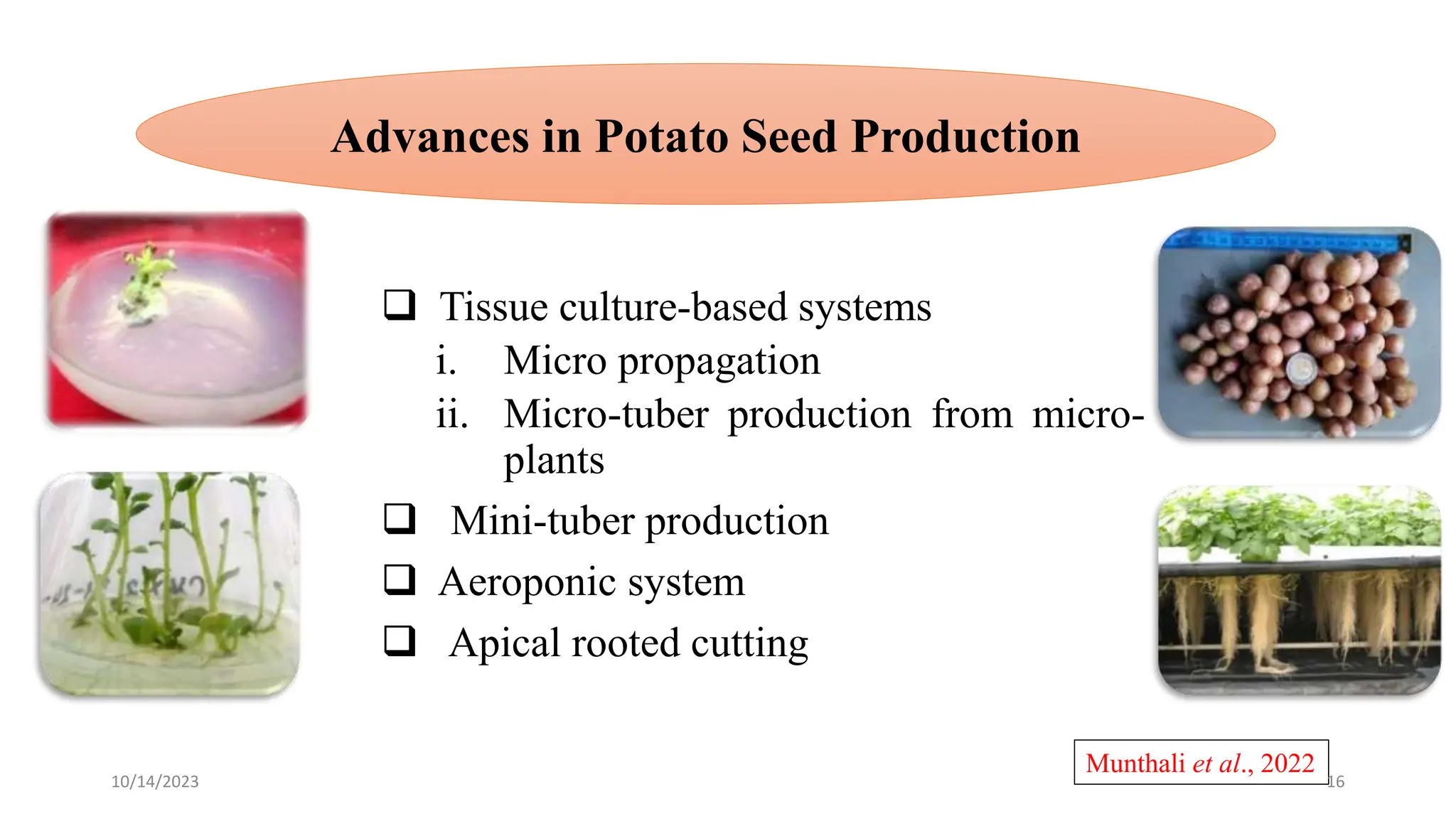 ADVANCES IN PROPAGATION OF POTATO.pptx