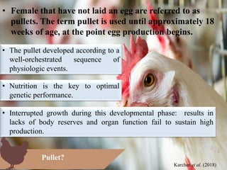 ADVANCES IN PULLET MANAGEMENT.pptx