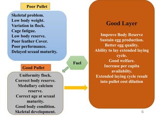 ADVANCES IN PULLET MANAGEMENT.pptx