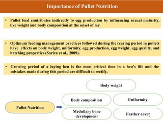 ADVANCES IN PULLET MANAGEMENT.pptx