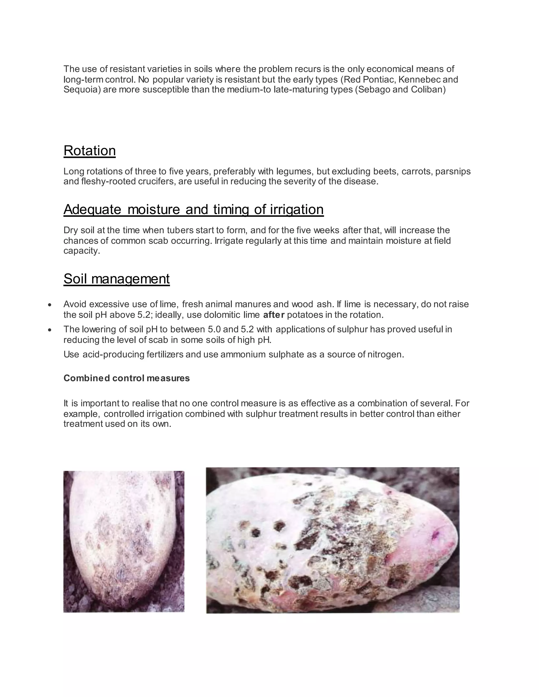Advances in scab disease of potato | DOCX