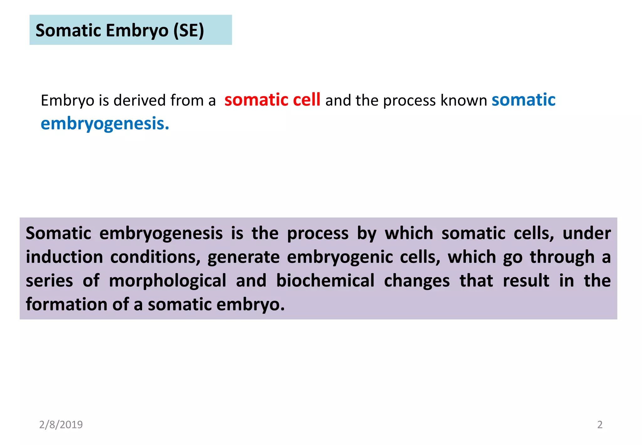 Recent Advances of Somatic Embryo Production | PPTX