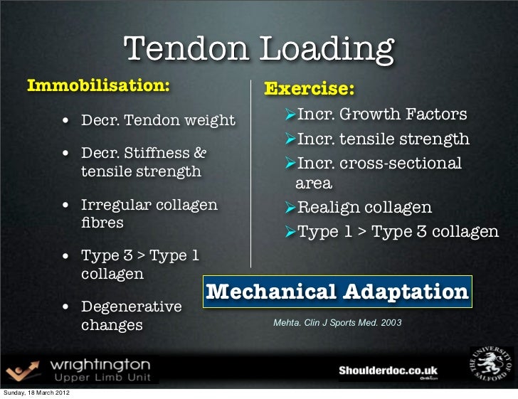 Tendon Loading Immobilisation: Exercise: