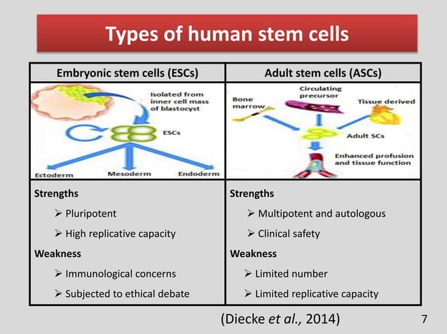 Advances in stem cell technology | PPT