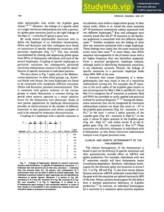 Advances In Thalassemia Research | PDF