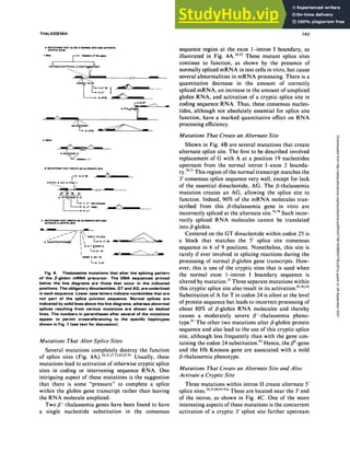 Advances In Thalassemia Research | PDF
