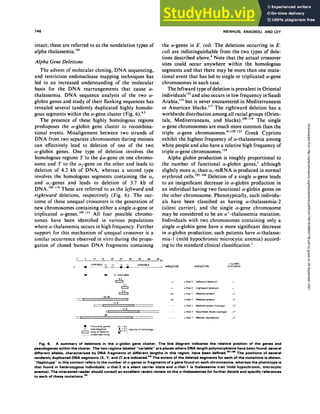 Advances In Thalassemia Research | PDF