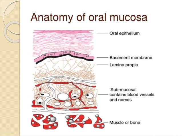 Advances in transmucosal drug delivery