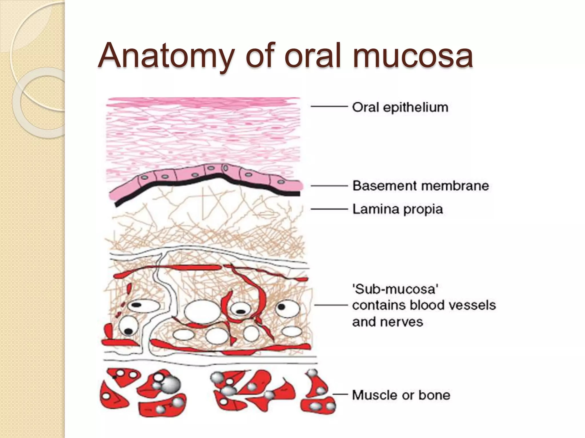 Advances in transmucosal drug delivery | PPT