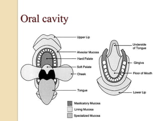 Advances in transmucosal drug delivery | PPTX