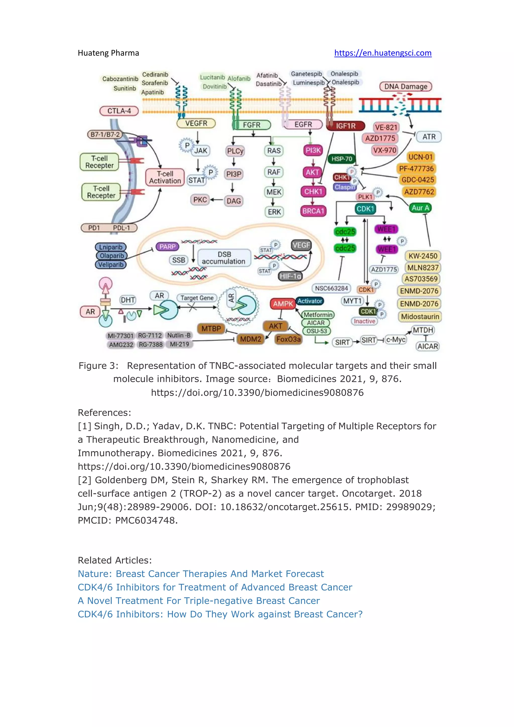 Advances in triple negative breast cancer (tnbc) targeted therapy drugs ...