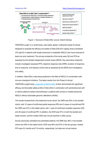 Advances in TROP-2 Directed ADCs.pdf
